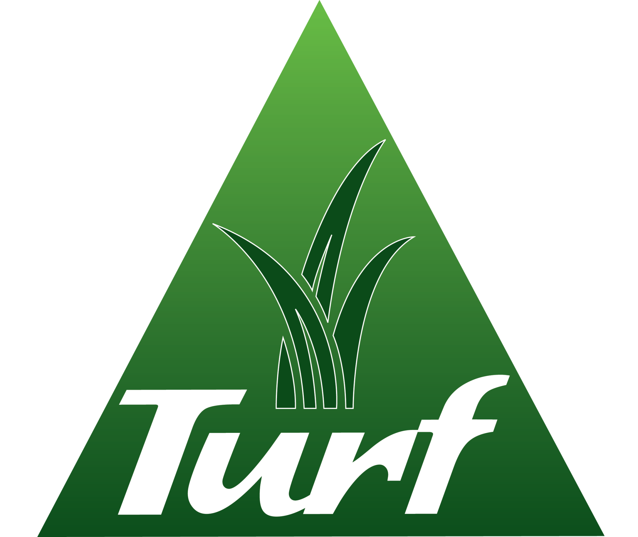 Artificial Turf Colors: Top 12 Stunning Options 2025